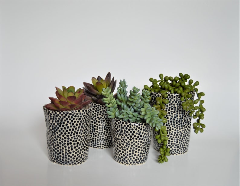 Small Spotted Succulent Planter | Etsy