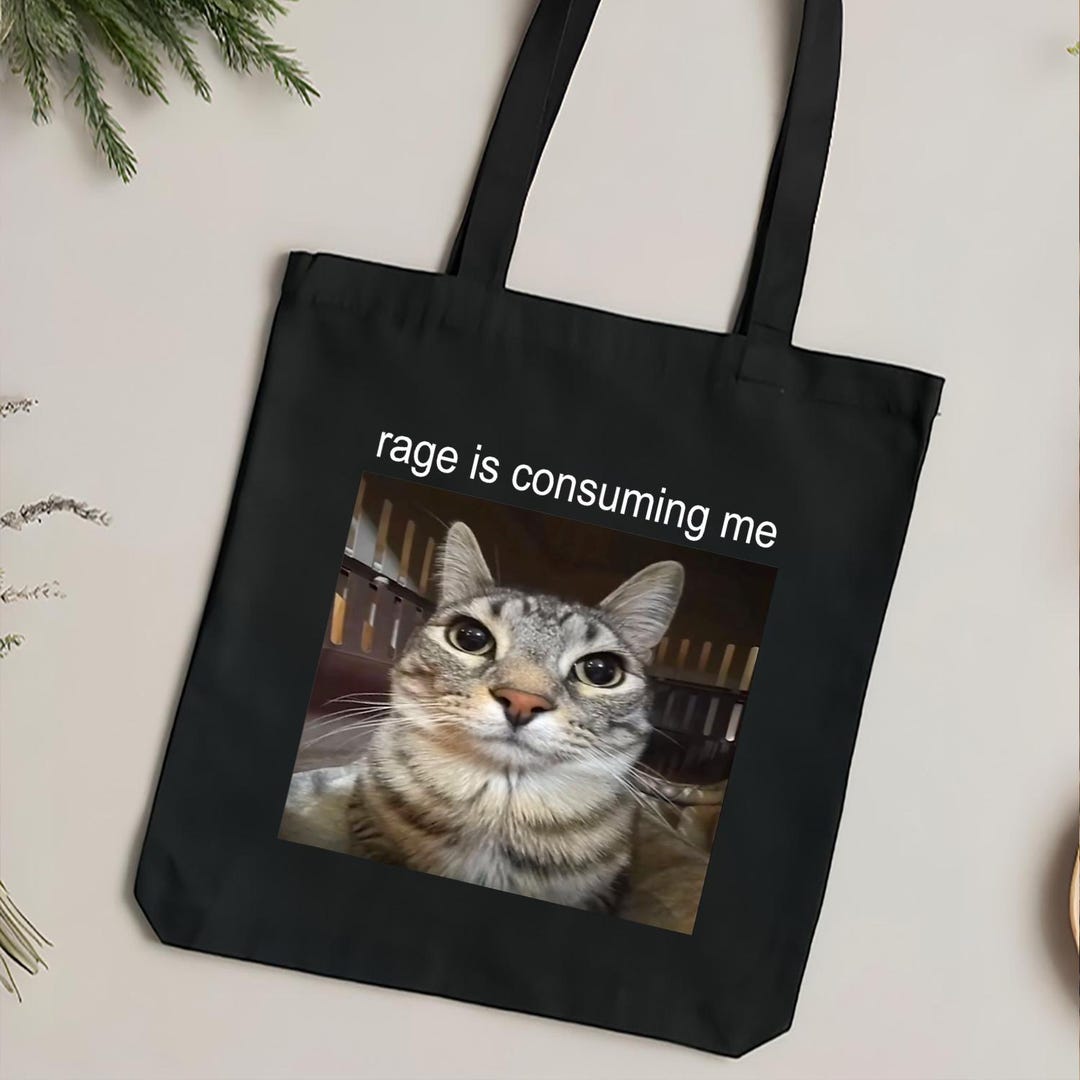 Staring Cat Meme Digital Download | Rage is Consuming Me Funny Cat PNG ...