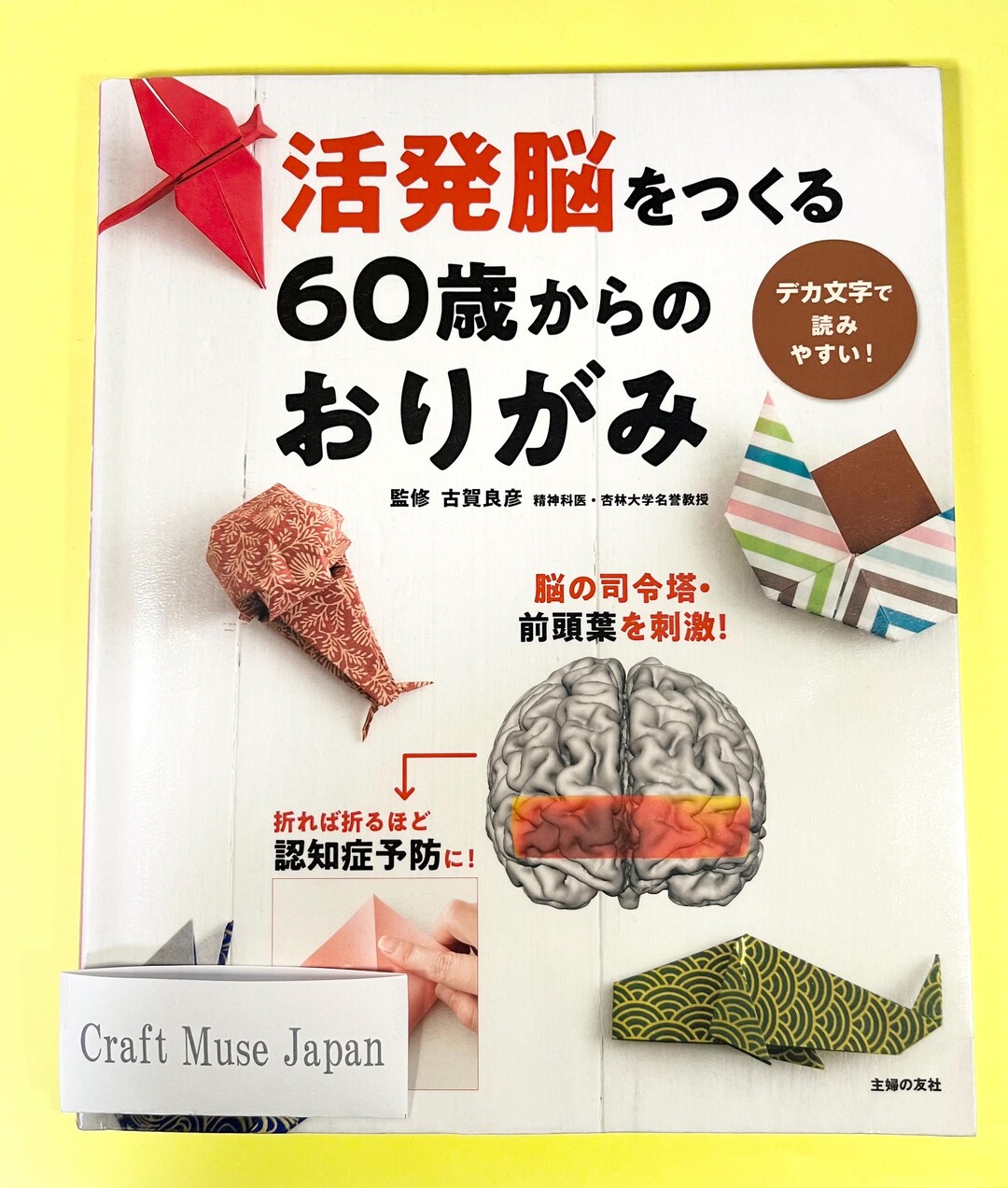 Origami for Seniors – Brain Boosting Japanese Folding Book (60+ Easy ...