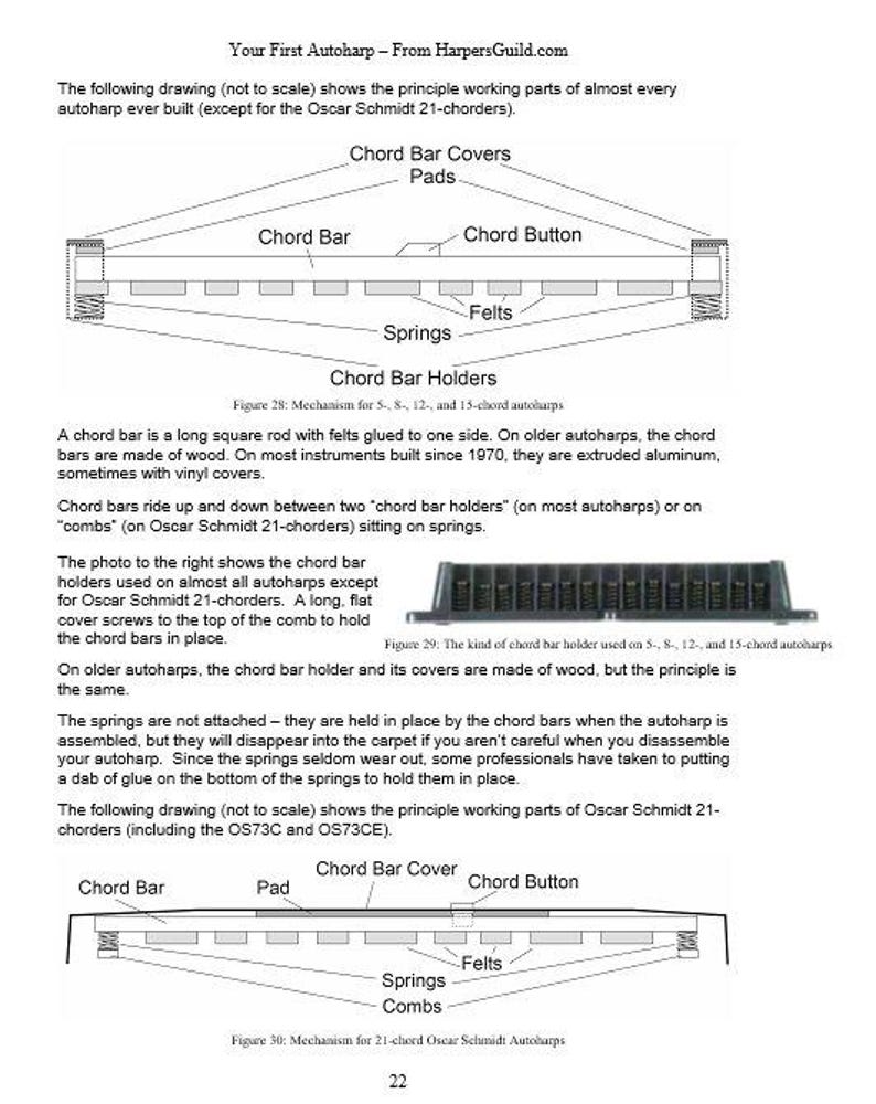 Your First Autoharp (digital Download) - Etsy