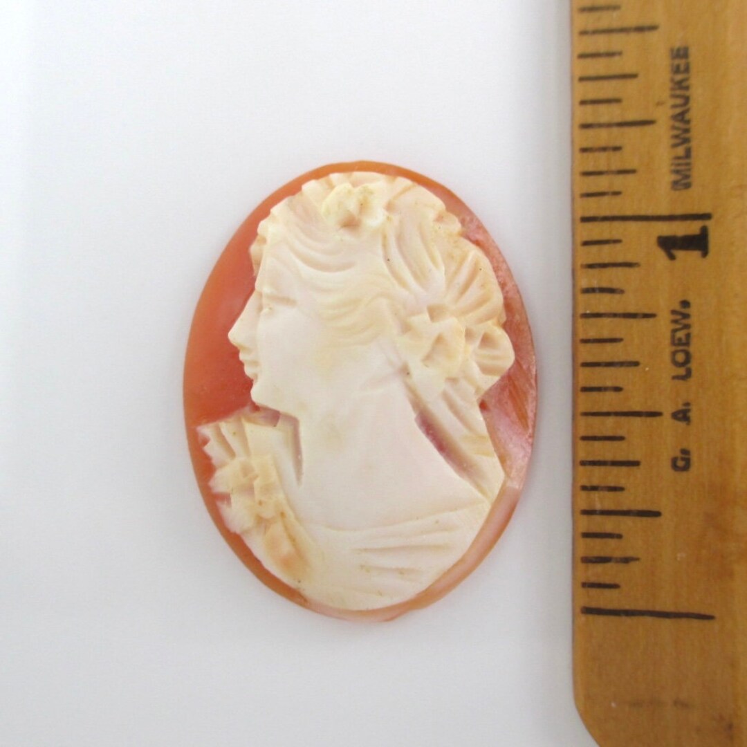 Carved Shell Cameo Vintage / Antique Loose Hand Carved Cameo 30mm X ...