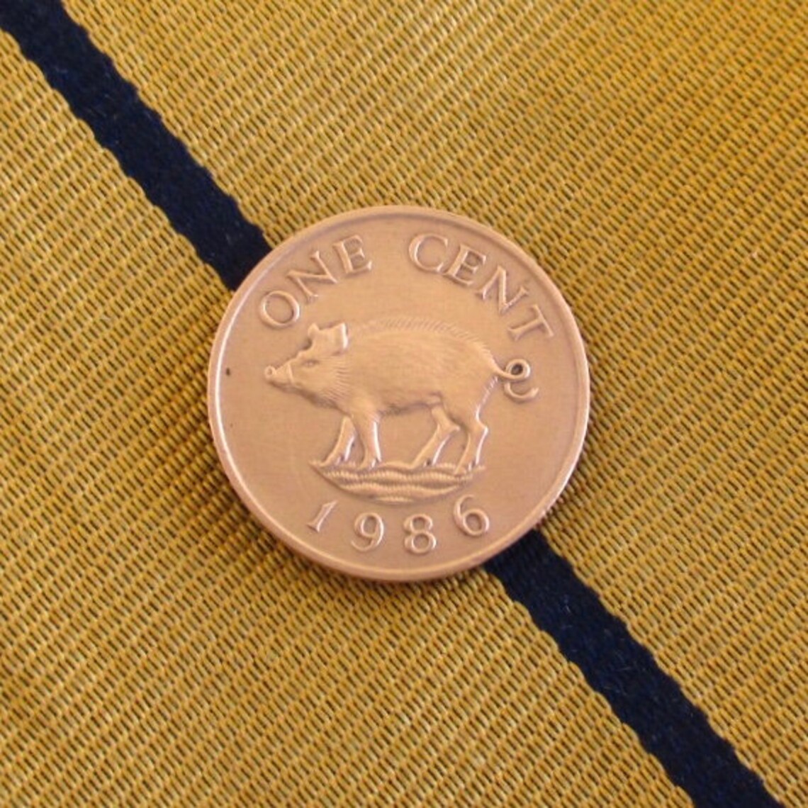 Razorback Wild Hog Coin Tie Tack / Lapel Pin Repurposed - Etsy