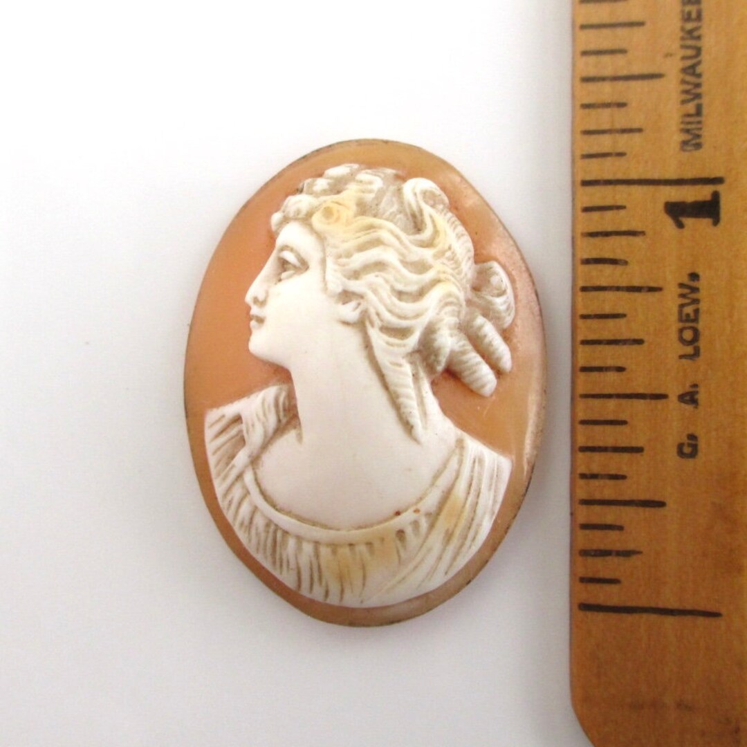 Carved Shell Cameo Vintage / Antique Loose Hand Carved Cameo 29mm X ...
