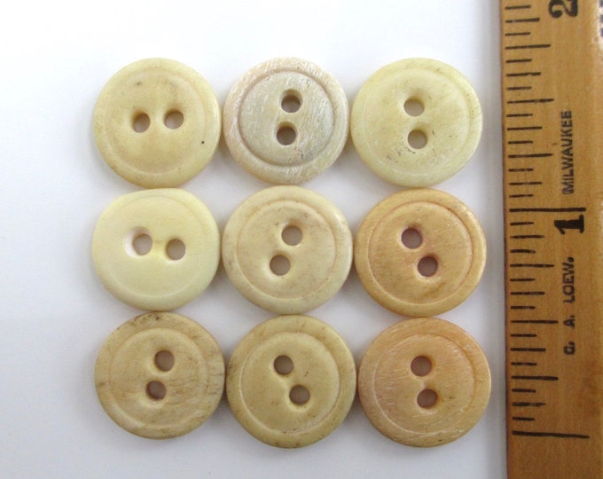 9 Vintage Bone Buttons - Antique Two Hole W/ Edge Line Design, 15mm ...