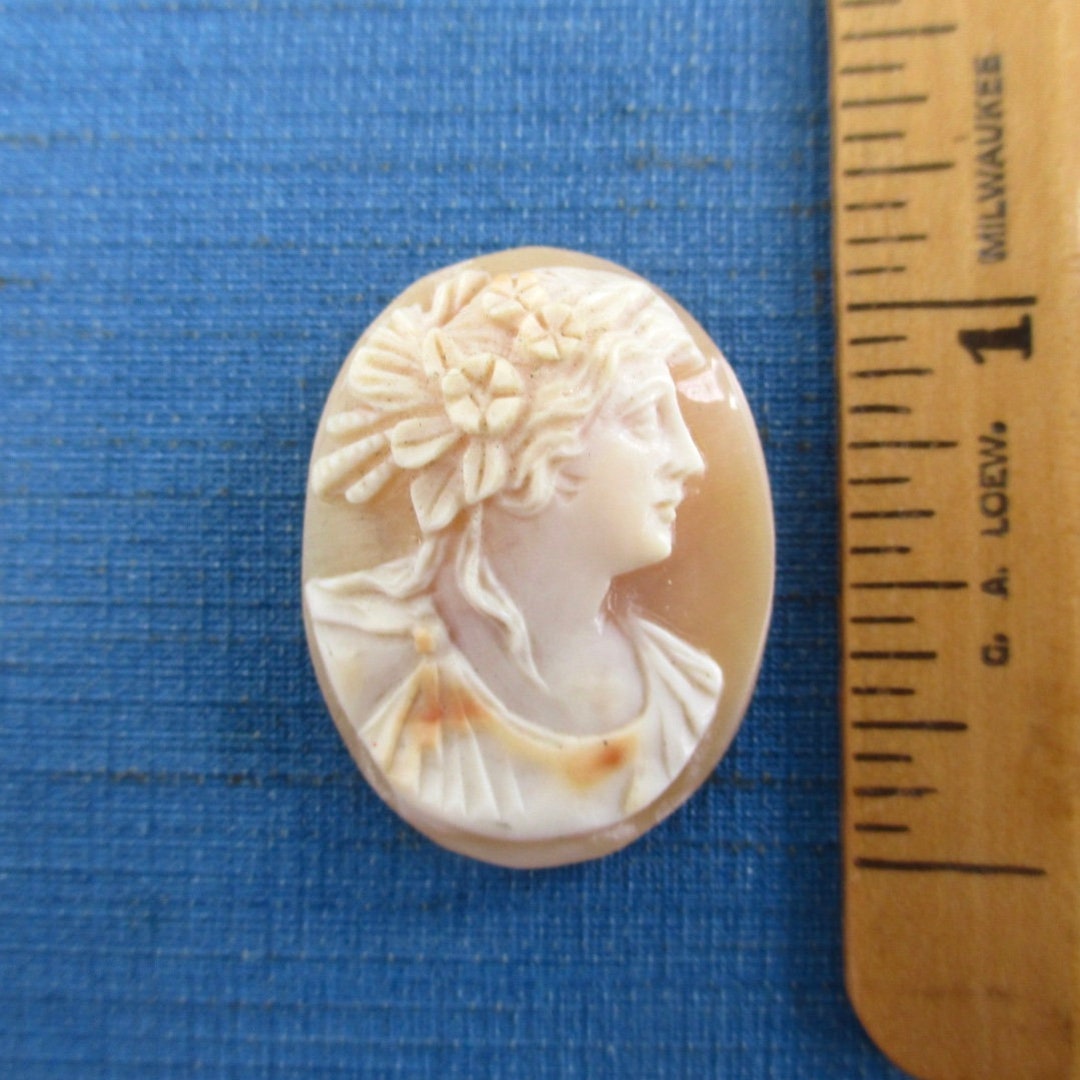 Carved Shell Cameo Vintage / Antique Loose Hand Carved Cameo 28mm X 21 ...