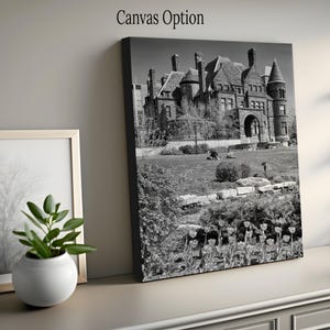 Saint Louis University - Samuel Cupples House - Campus - Tulips - St ...