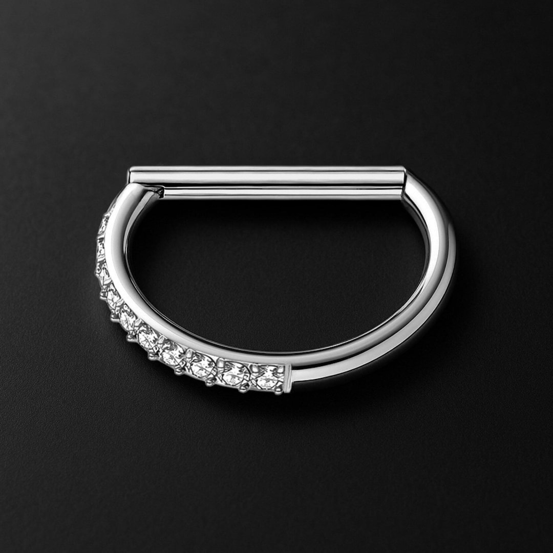 Titanium Clicker Ring in D Shape Style and Half Side CZ Helix Hoop ...