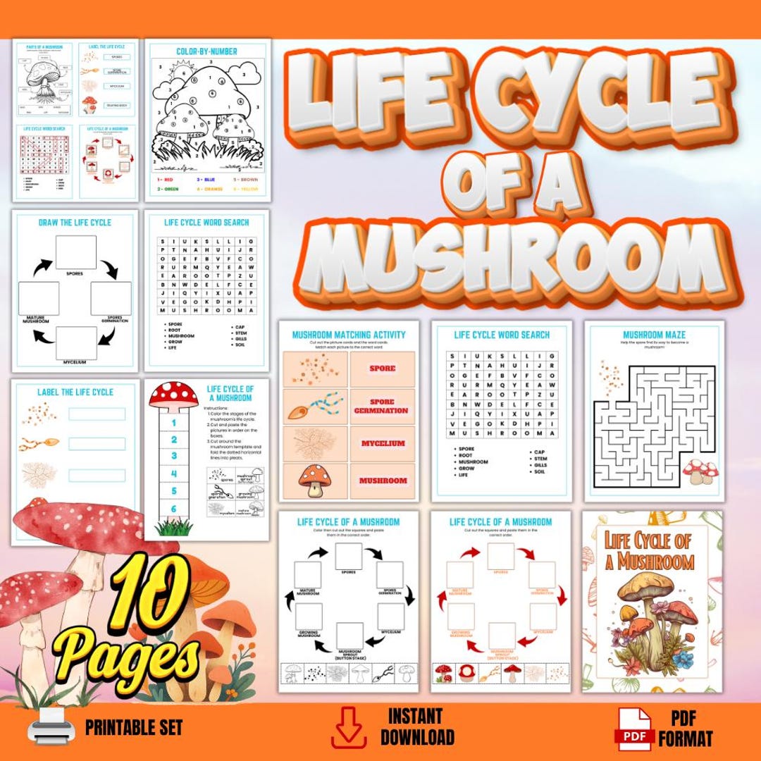 Mushroom Life Cycle Printable Worksheets | Fungi Science Activity ...