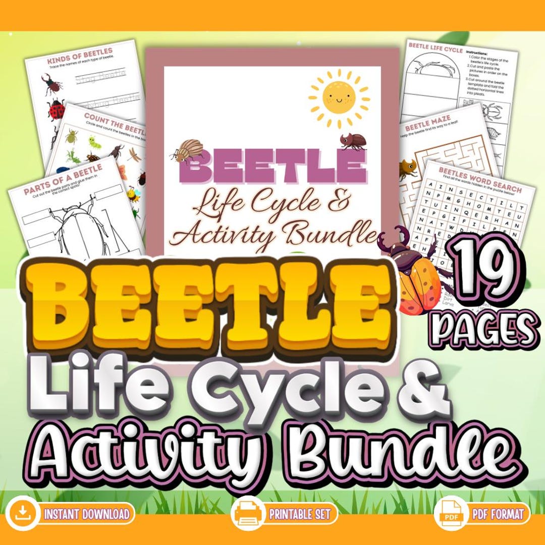 Beetle Life Cycle Activity Worksheets Printable 17 Page Science ...