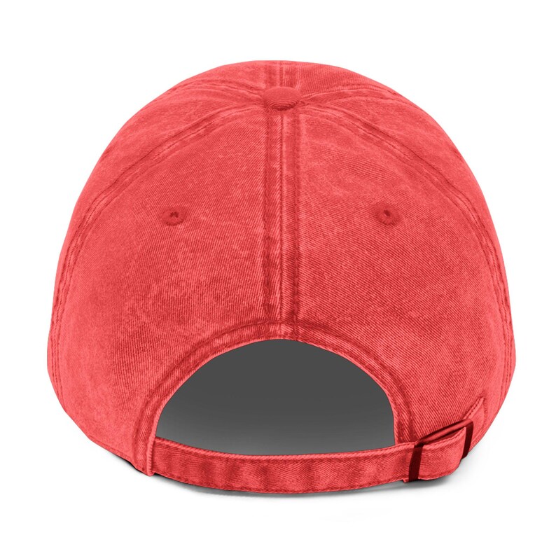 Vintage One Piece Luffy Cap, Embroidered Hat for Anime Fans, Casual ...