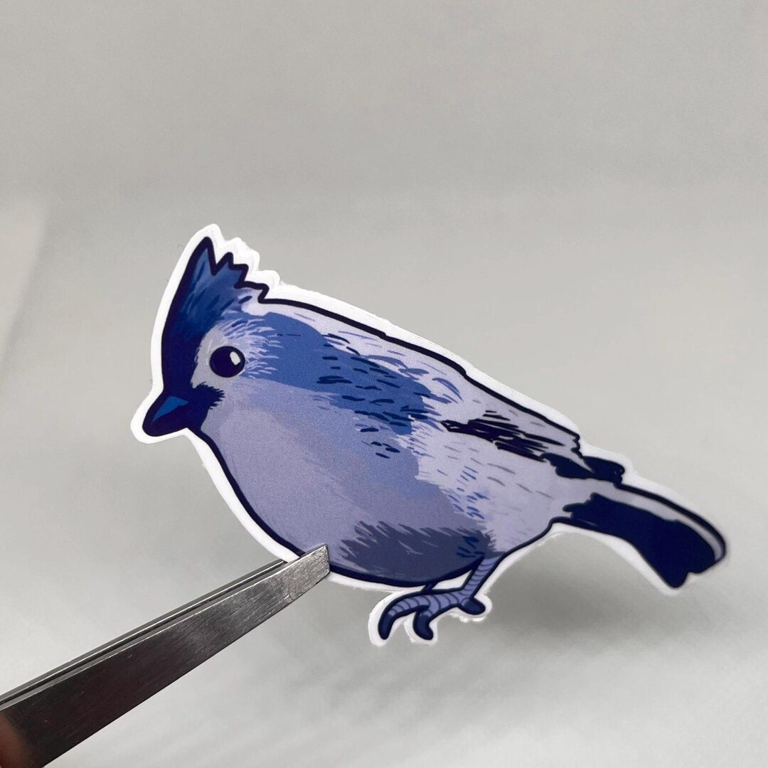 Blue Jay Vinyl Sticker: Bird Lover Gift, Water Bottle Decal - Etsy
