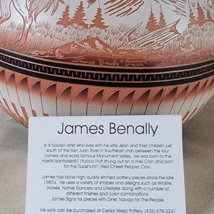 Rare! Navajo Etched and Painted by Famous Native American Artist James ...