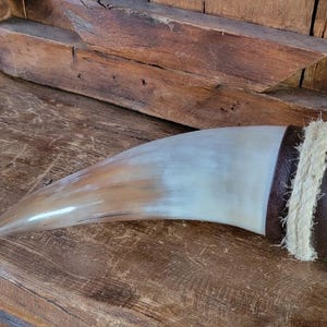 Texas" Authentic Polished Bull Horns Wall Mount 26" Southwest, Cow ...