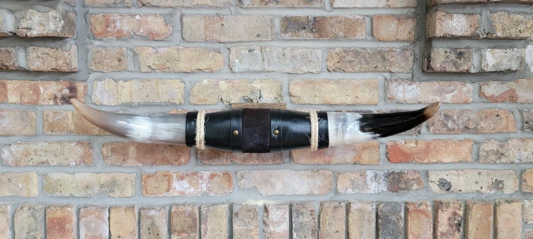 Authentic Polished Mounted Bull Horns Wall Mount 26" Southwest, Barn ...