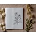 Kids Foraging Coloring Book | Medicinal Herb Identification - Etsy