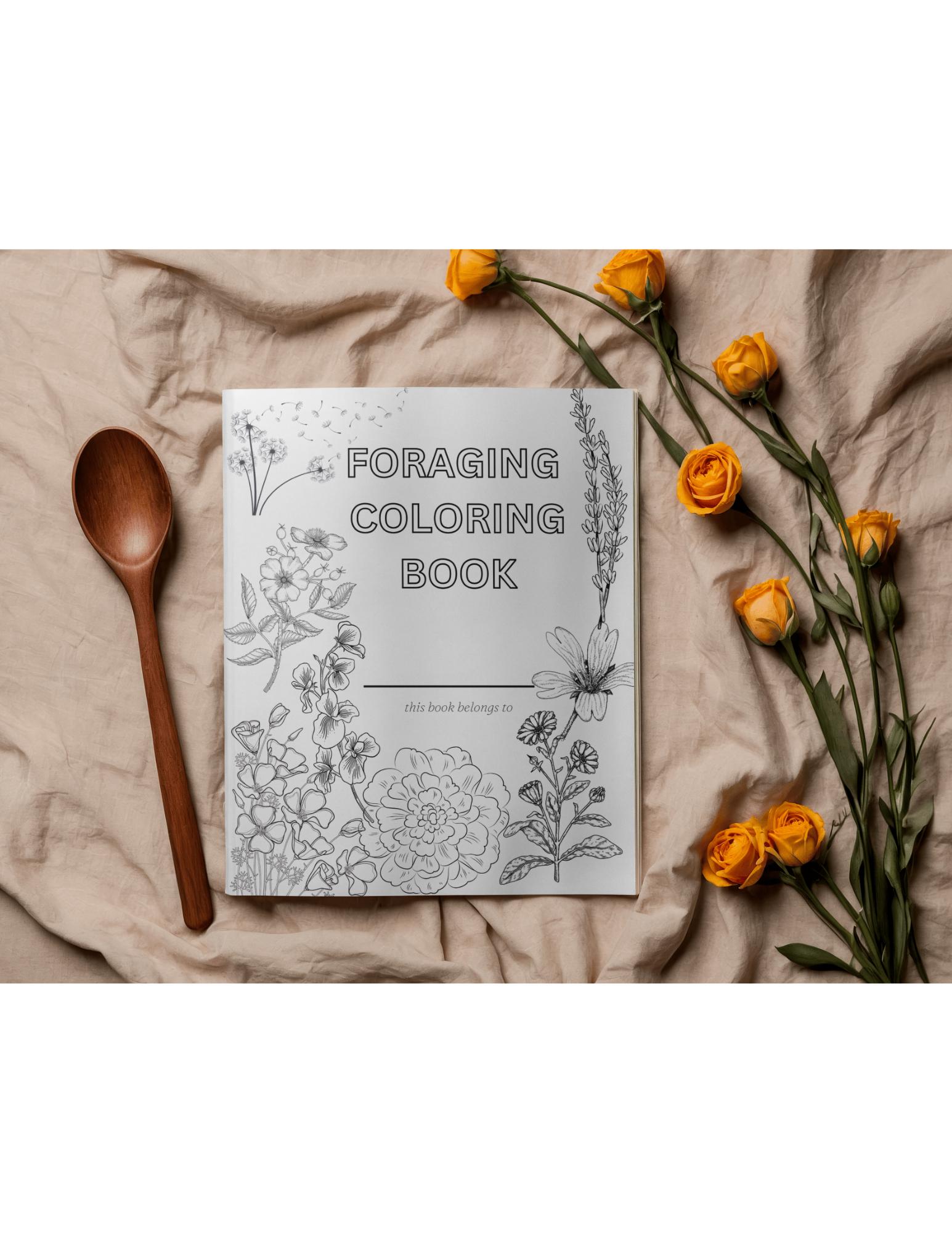 Kids Foraging Coloring Book | Medicinal Herb Identification - Etsy