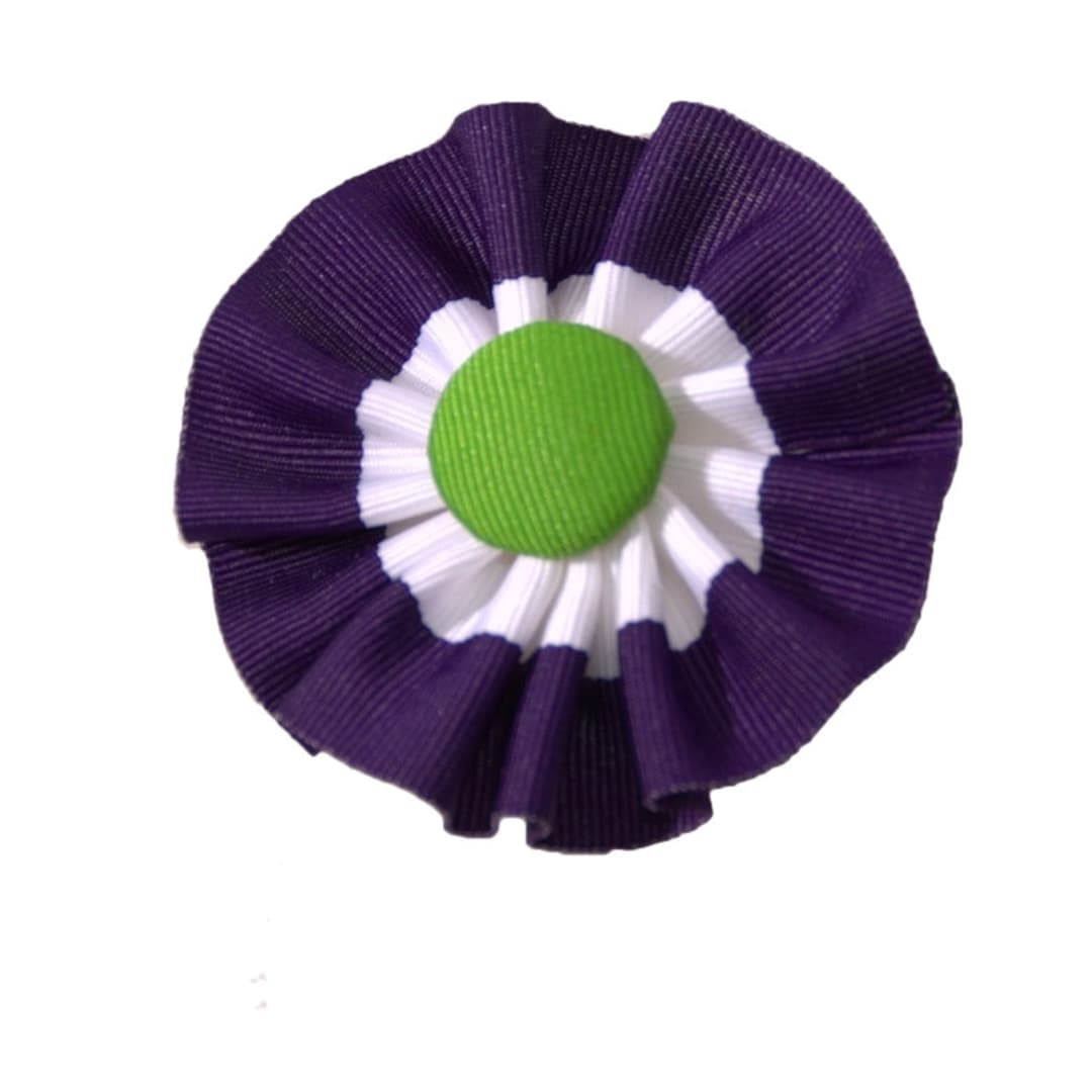 Suffragette UK Cockade Ribbon Hat Trim Brooch Suffrage Rosette Green ...