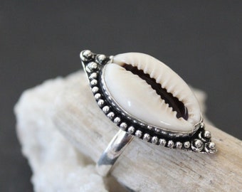 Indian Cowrie Shell - Etsy