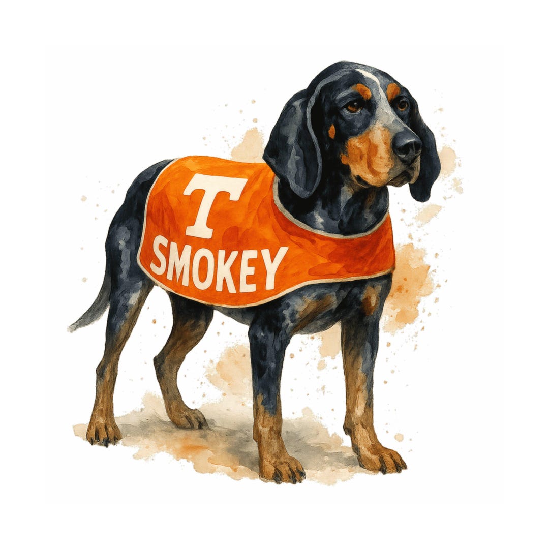 Smokey Tennessee Vols Mascot Art Print | Transparent PNG for ...
