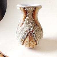 Large White Shell Nautilus Vase | Home Decor | Oddities | Curiosities ...