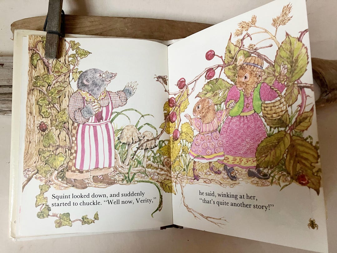 Mr Squint by Jenny Partridge 1980 Vintage English Children's Book With ...