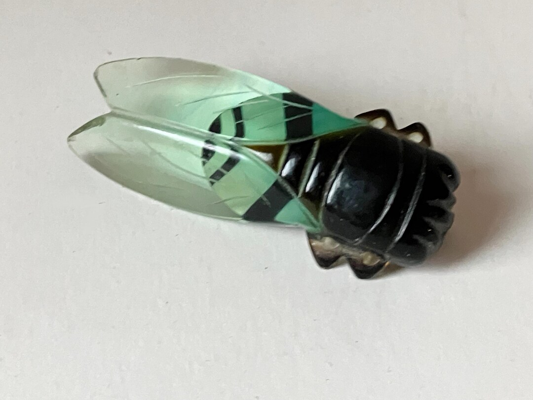 Vintage French Carved Cicada Early Plastic Brooch Green Body Brass Pin ...