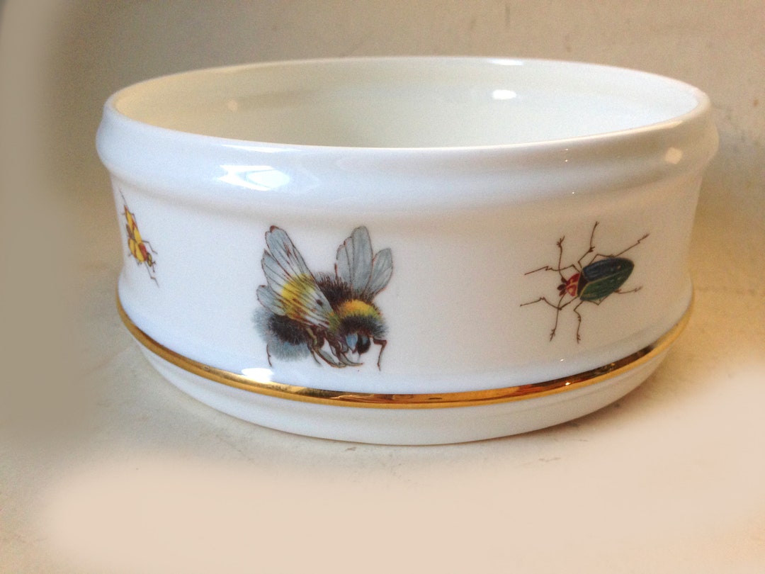 Insect Bowl English Bone China - Etsy