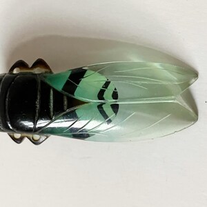 Vintage French Carved Cicada Early Plastic Brooch Green Body Brass Pin ...