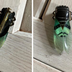 Vintage French Carved Cicada Early Plastic Brooch Green Body Brass Pin ...