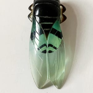 Vintage French Carved Cicada Early Plastic Brooch Green Body Brass Pin ...