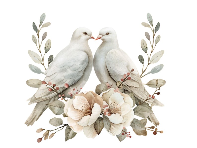 20 PNG Watercolor Wedding Doves, Romantic Bird PNG, 20 Romantic White ...