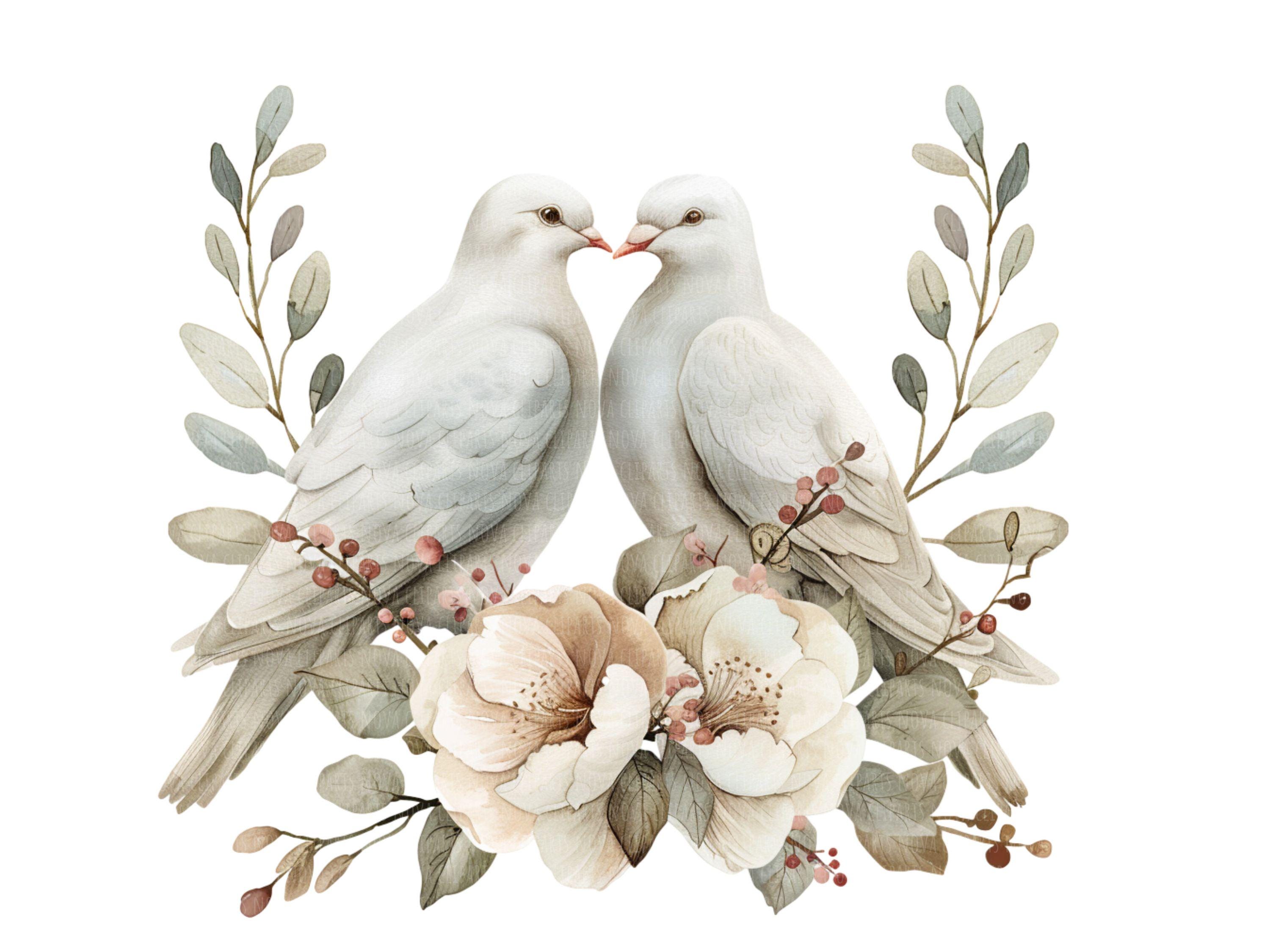 20 PNG, Wedding Doves Clipart – Watercolor Dove Illustrations ...