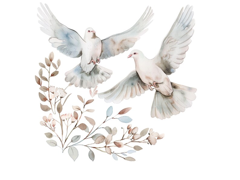 20 PNG Watercolor Wedding Doves, Romantic Bird PNG, 20 Romantic White ...