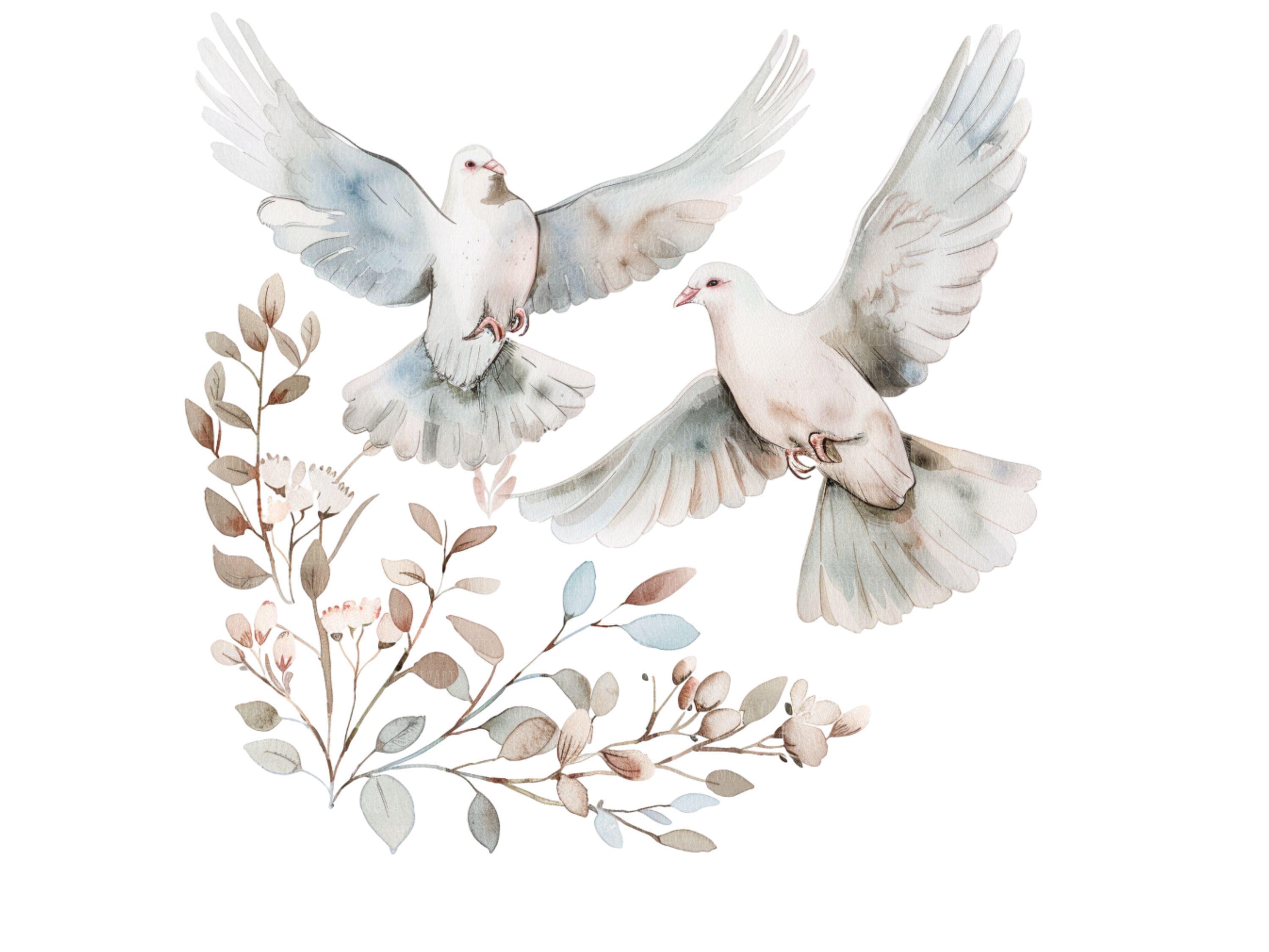 20 PNG, Wedding Doves Clipart – Watercolor Dove Illustrations ...