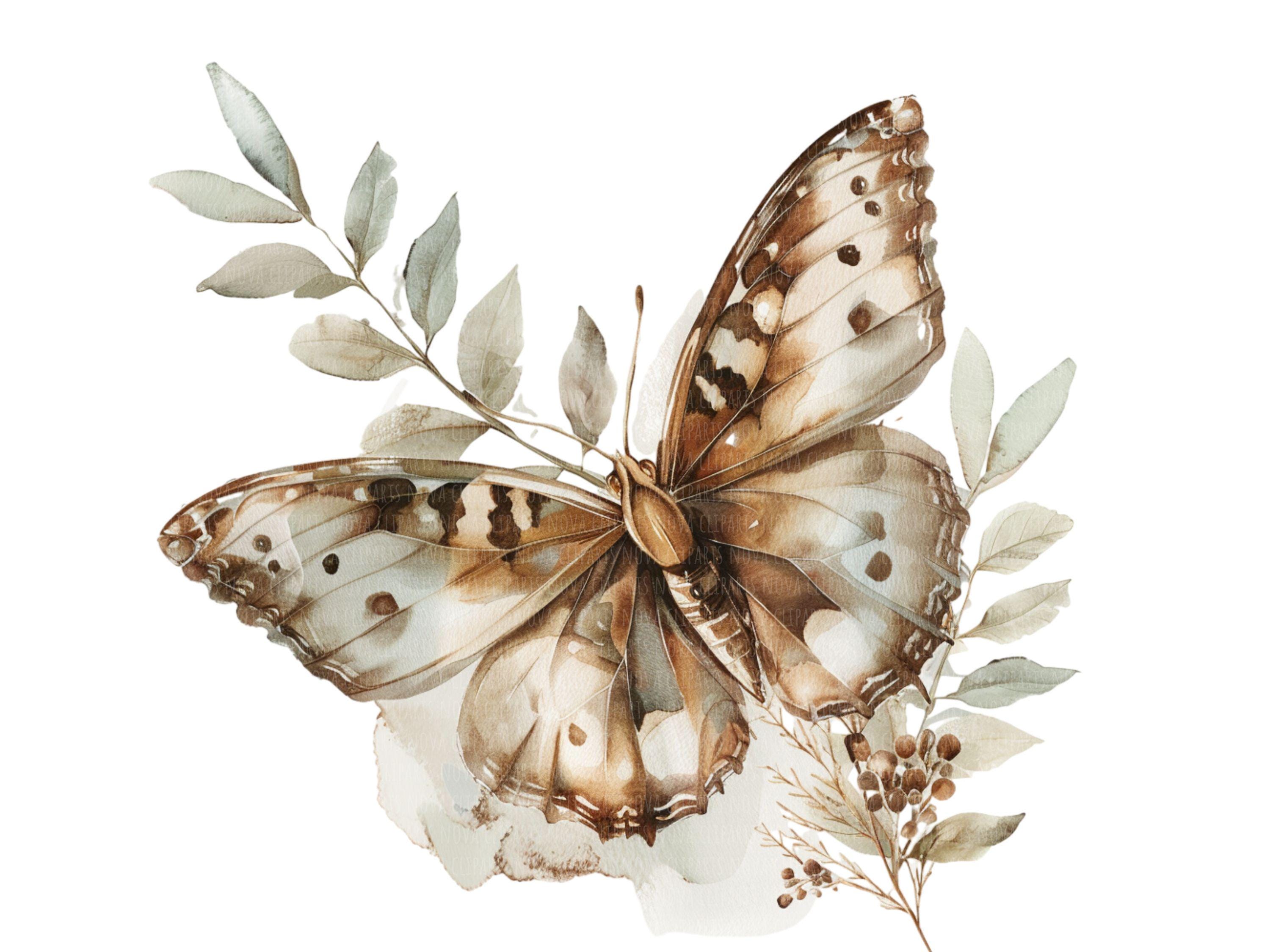 20 PNG, Boho Butterfly Clipart PNG – Watercolor Insects in Neutral ...
