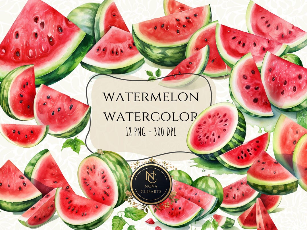 Watercolor Watermelon Clipart – 18 PNG Files – Summer Fruit ...
