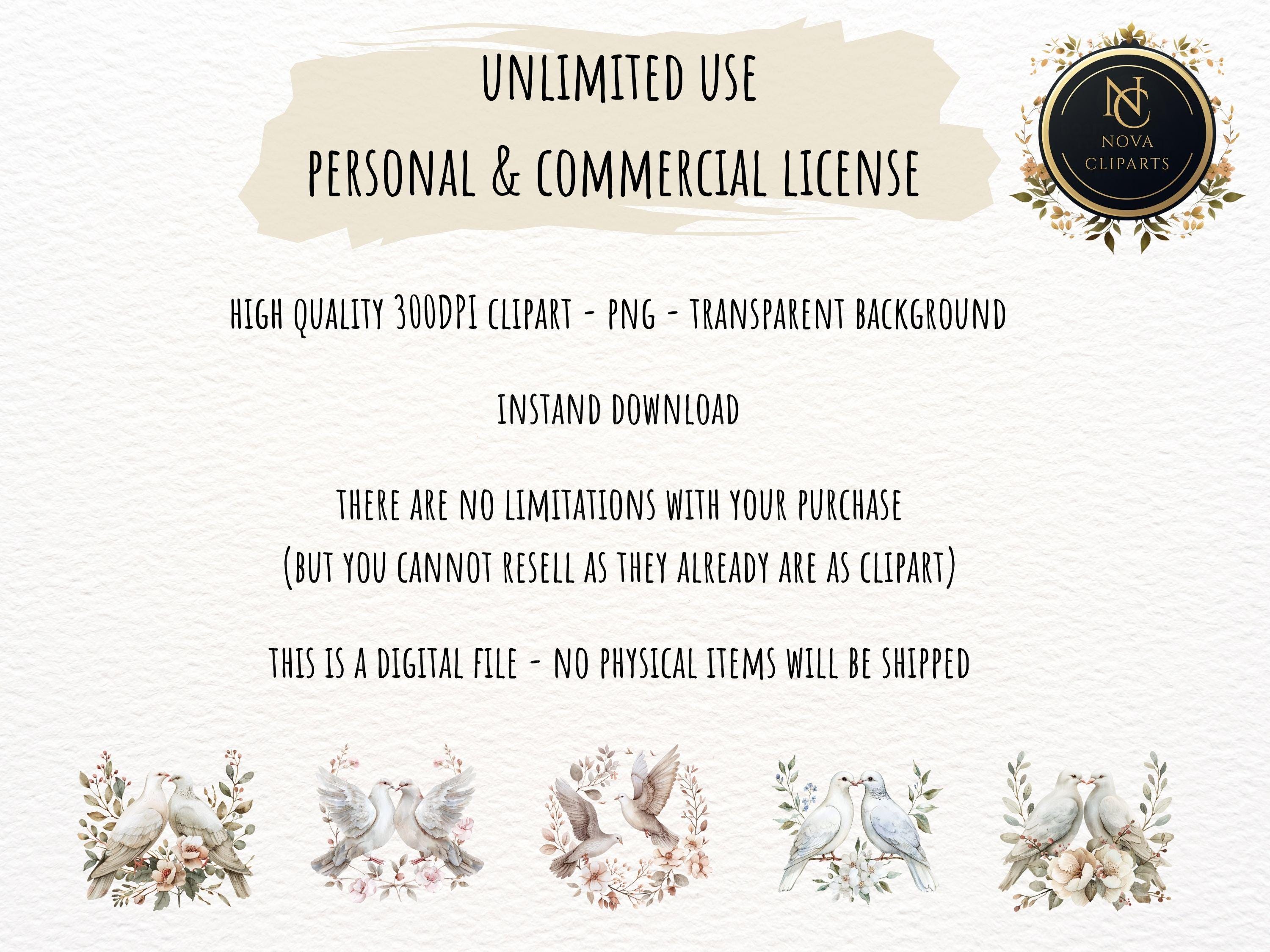 20 PNG, Wedding Doves Clipart – Watercolor Dove Illustrations ...