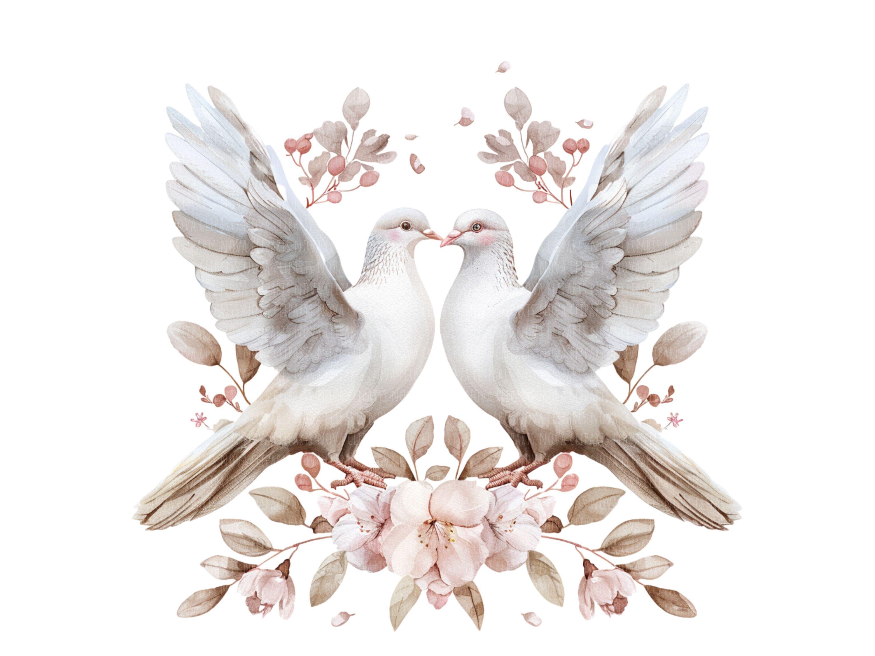 20 PNG, Wedding Doves Clipart – Watercolor Dove Illustrations ...