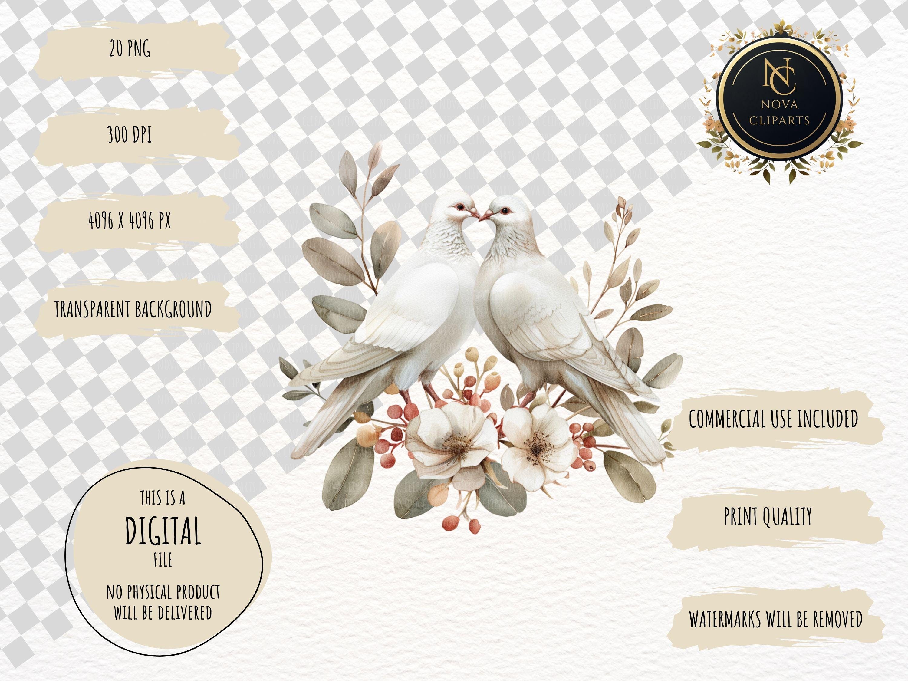 20 PNG, Wedding Doves Clipart – Watercolor Dove Illustrations ...
