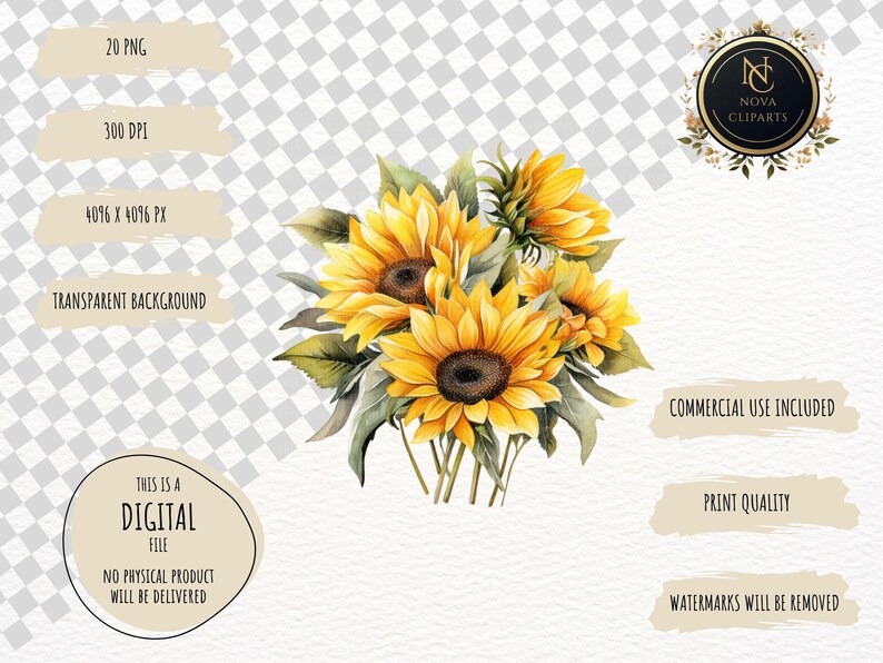 Watercolor Sunflower Clipart – High Resolution PNG – Floral ...