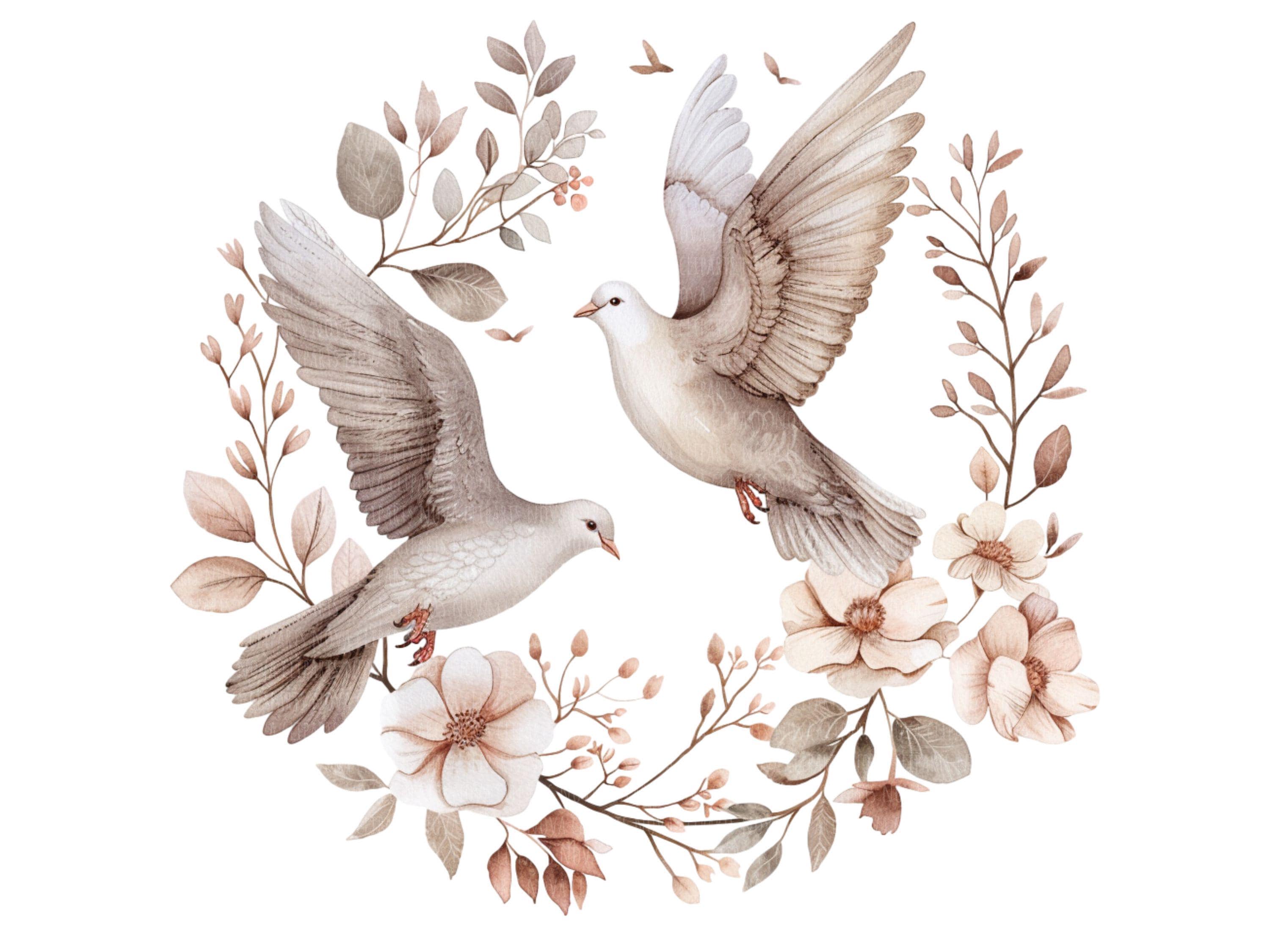 20 PNG, Wedding Doves Clipart – Watercolor Dove Illustrations ...