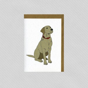 Illustrated Yellow Labrador Blank Card - Etsy