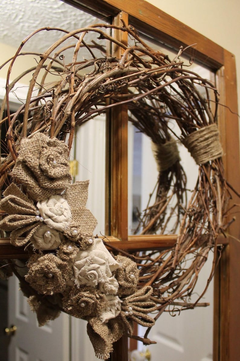 500 Feet of Natural Wild Florida Muscadine Grapevine Grape Vine for DIY ...