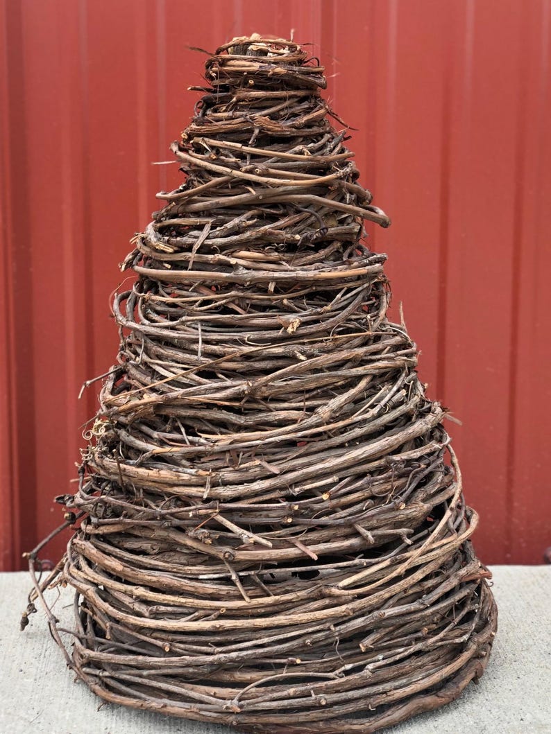 500 Feet of Natural Wild Florida Muscadine Grapevine Grape Vine for DIY ...