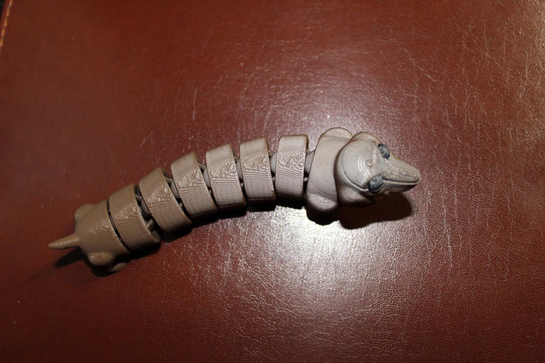 Winner Dog Fidget Toy - Etsy