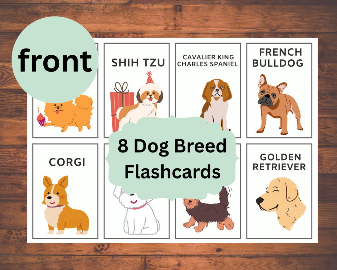 Dog Breed Flashcards: Montessori Kids Learning Cards (instant Download ...