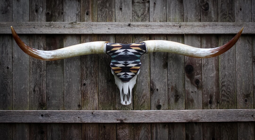 Pendleton Longhorn Skull - Etsy