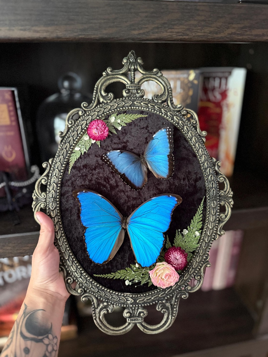 Real Blue Morpho Butterfly Taxidermy in Ornate Vintage Bubble Glass ...