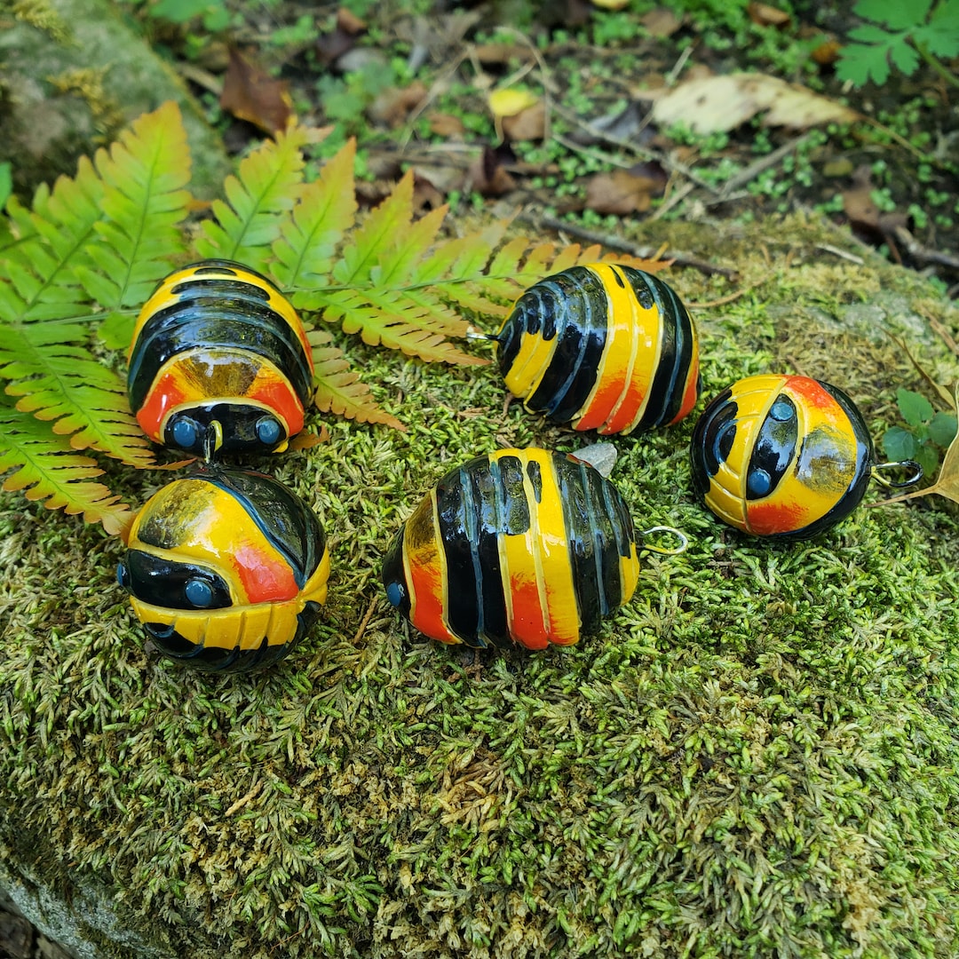 Tricolor Isopod Merulanella Isopod Ornament - Etsy