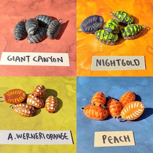 Isopod Charms 30 Breeds to Choose From - Etsy